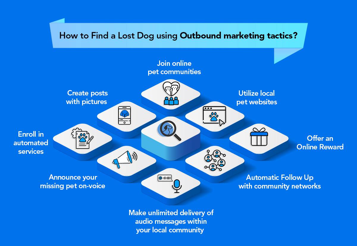 How to Find Lost Dog Using Outbound Marketing Tools - LeadsRain
